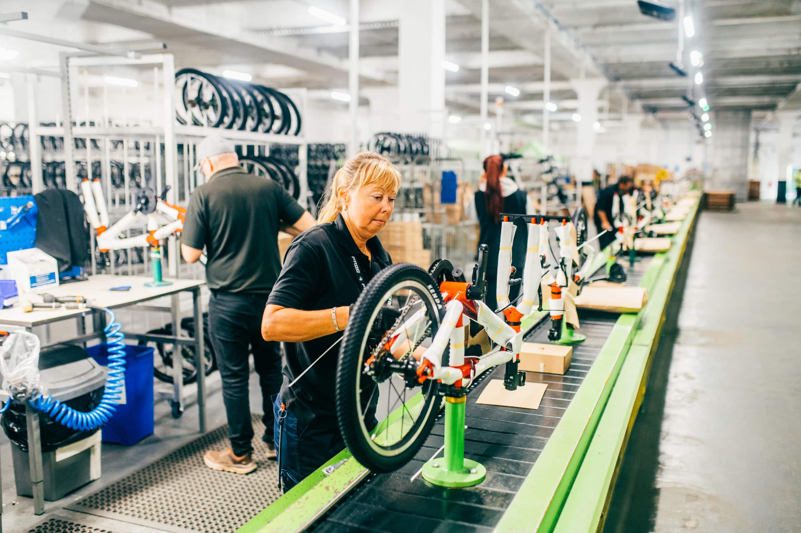 The green, green shores of home - HVM Catapult